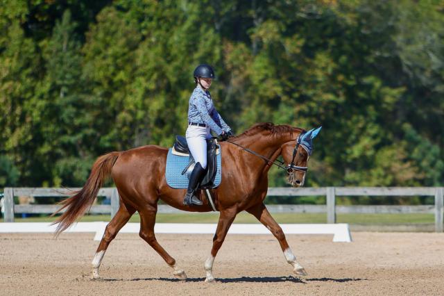 Posted by @dressage_on_ice - ️🩵 Chatt Hills; Feb 4th Schooling Show ...
