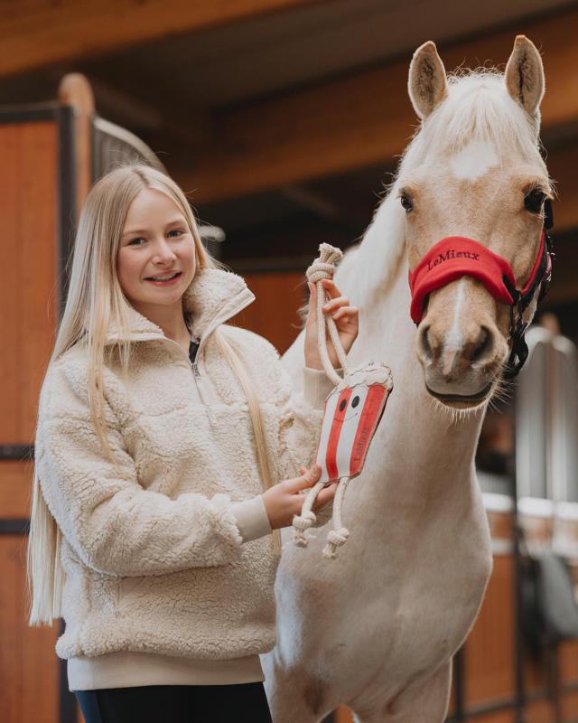 Horse Toy Popcorn Spring Sale