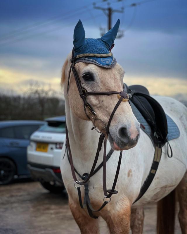 Posted by @bluethedraft - He really is the best boy 💙 Wearing ...