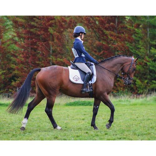 Eventing Bib Navy Clothing