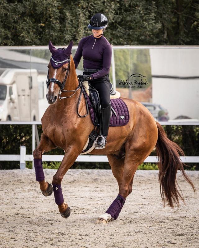 Loire Fly Hood Fig New