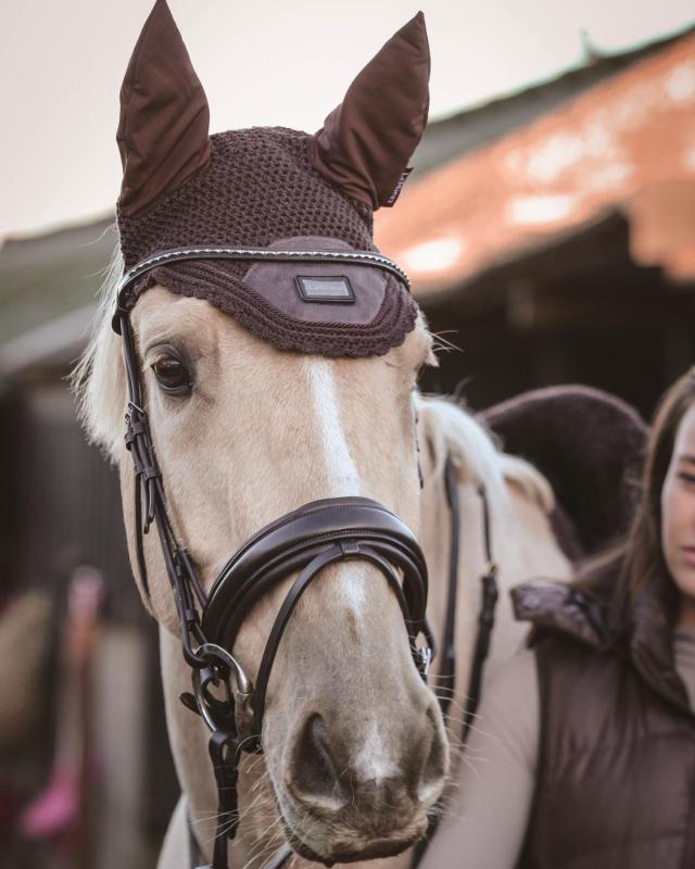 Rhone Fly Hood Espresso New