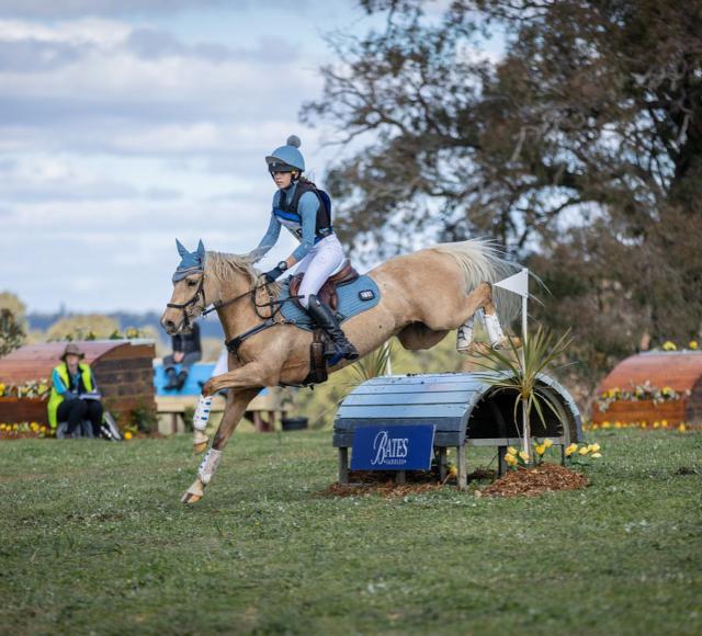 Posted by @tayla_equestrian06 - Tb to Wooroloo ccn last year🚀 All ...