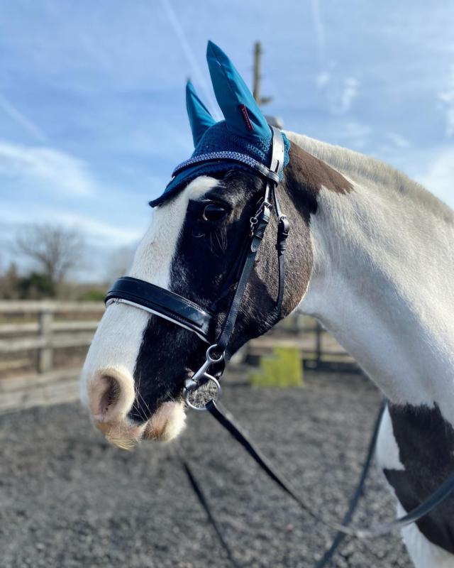 Loire Fly Hood Marine New