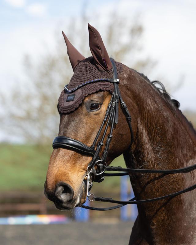 Rhone Fly Hood Espresso New