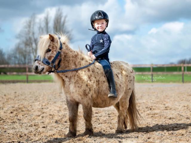 Mini Vogue Headcollar & Leadrope Indigo New