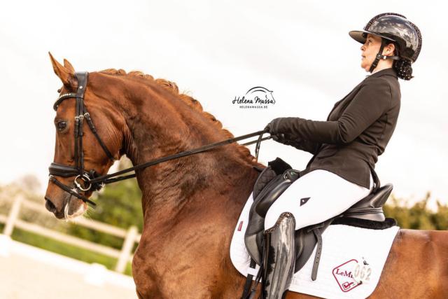 Suede Dressage Square White Saddle Pads