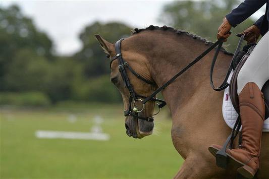 Arika Drop Bridle Black/Silver Horse