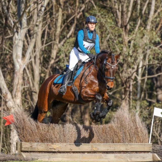 Eventing Bib Black Clothing