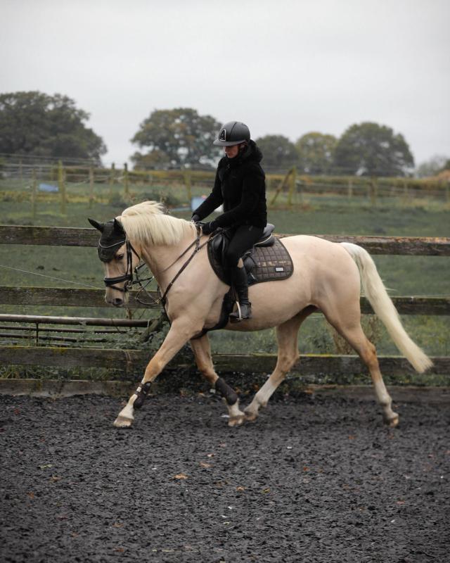 Adour Fly Hood Oak Spring Sale