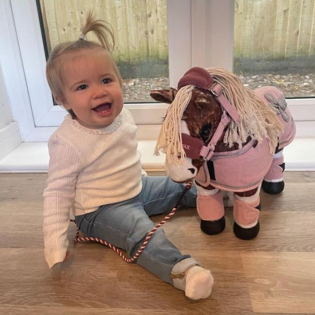 Toy Pony Flash Toys