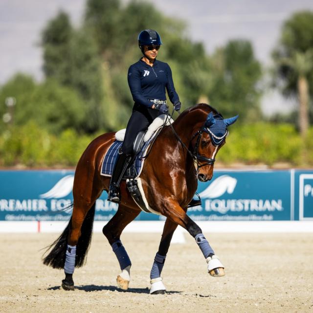 LeMieux, The finest Equestrian products in the UK.