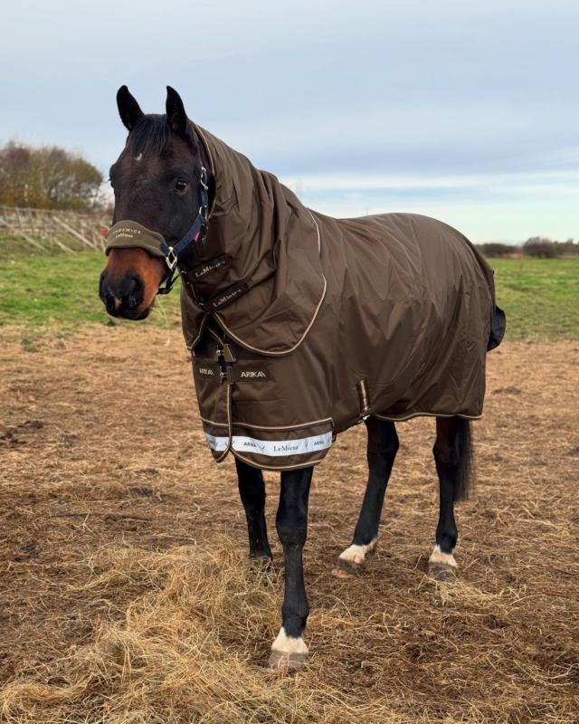 LeMieux, the finest Equestrian products in the world.