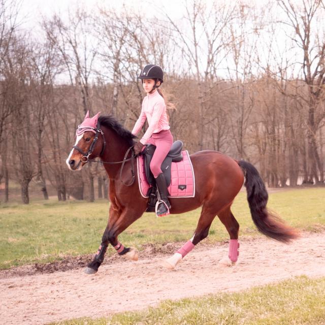 LeMieux, the finest Equestrian products in the world